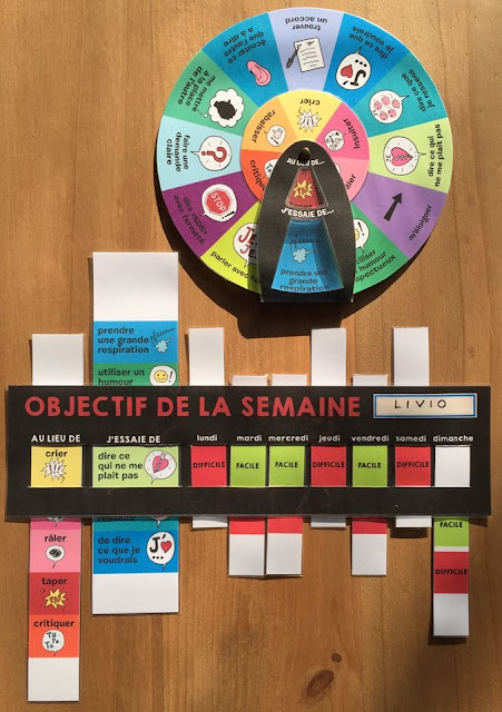 mamlynda: Roue des choix du comportement