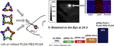 PolySciTech® - John Garner's Technical Blog