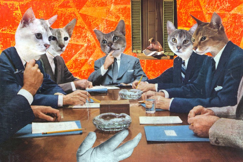 rizo Transparentemente apilar cat agenda Retrato Perplejo cocina