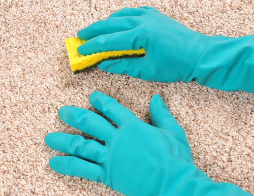 5 Tips Of Removing That Carpet Stains - Singapore Carpet Cleaning Pte Ltd