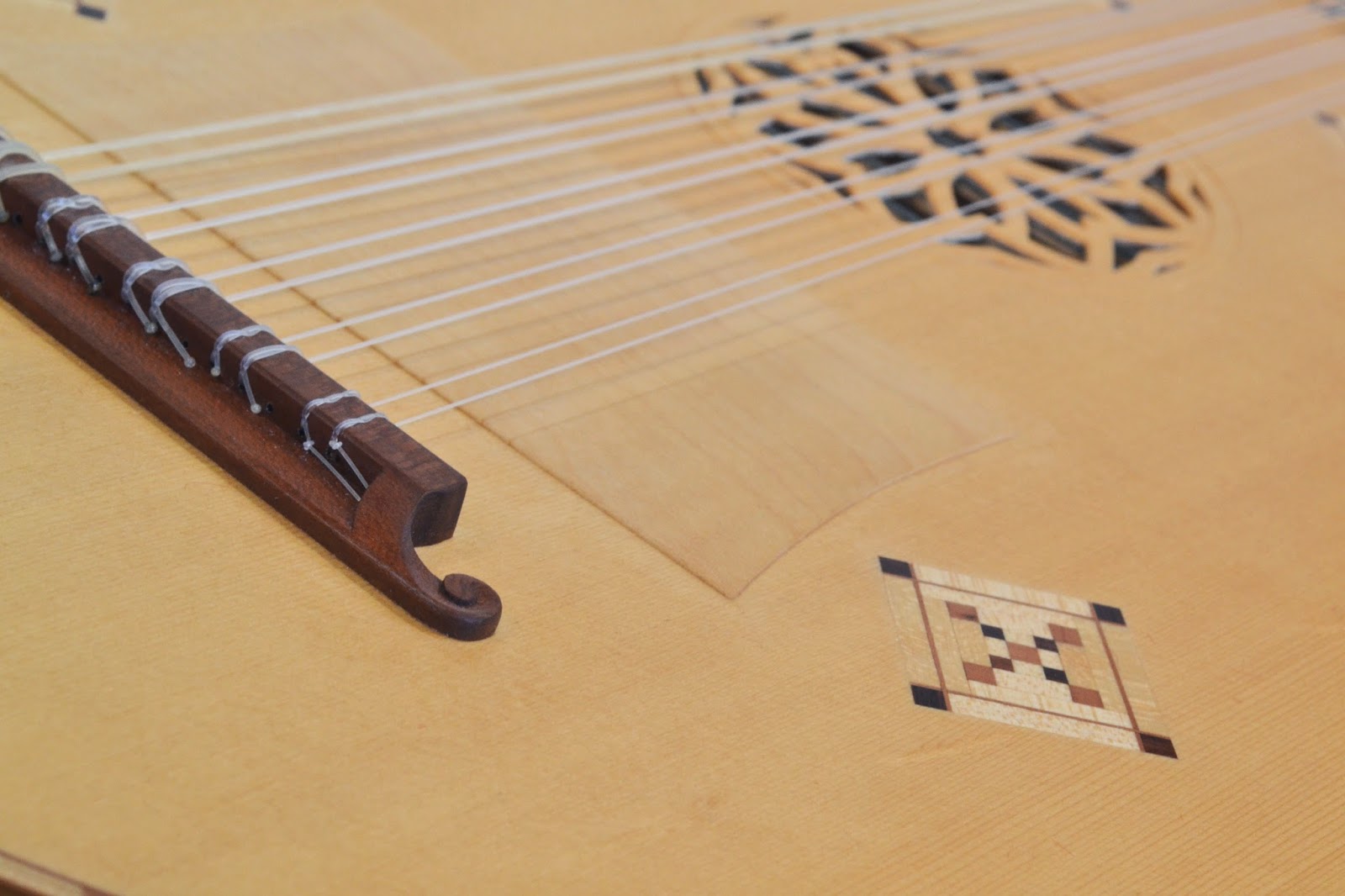 The Lute's Progress,: The Unusuals