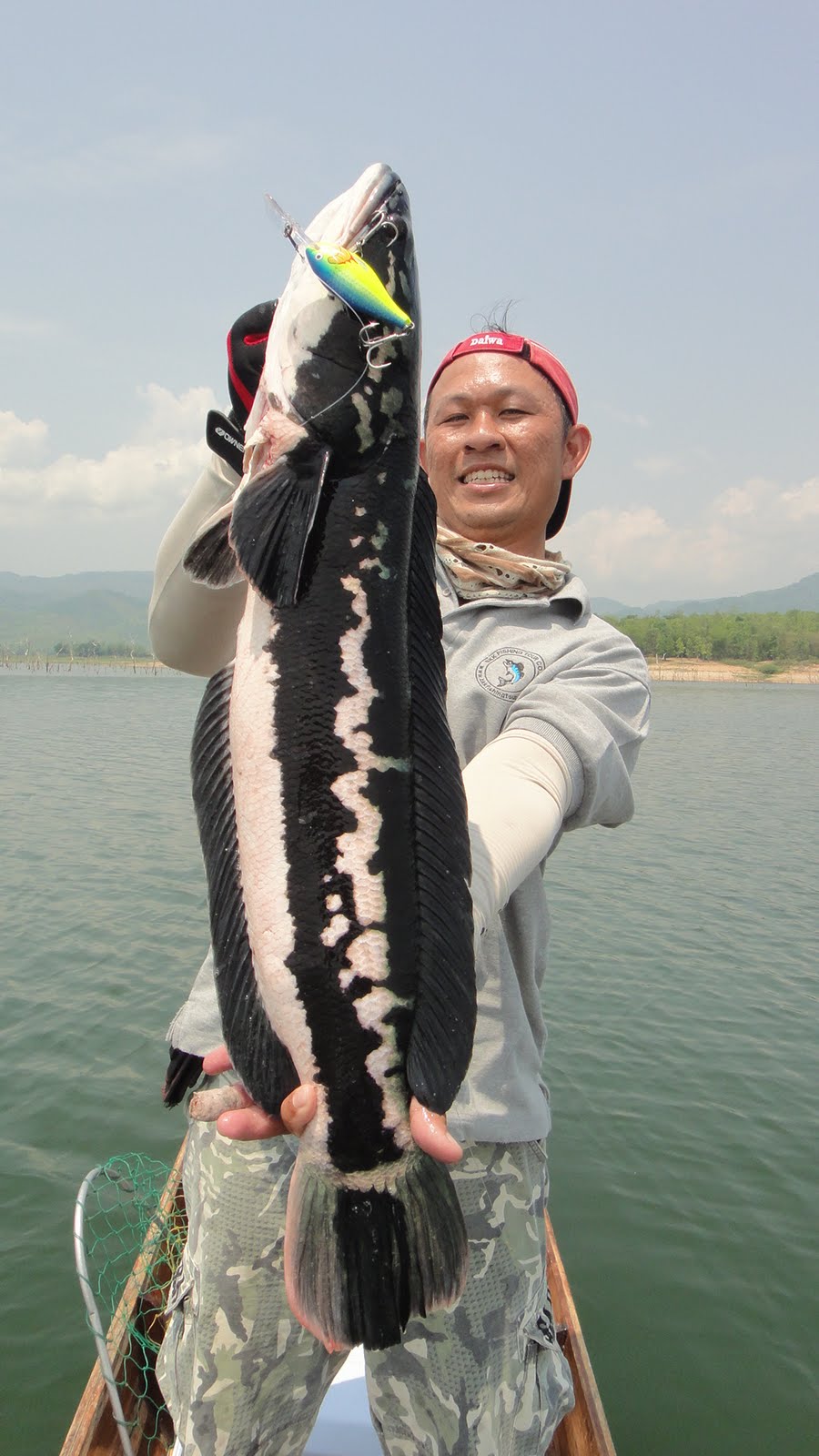 Thailand Giant Snakehead (Toman) And Wild Fishing.: Mama Toman !!! I ...