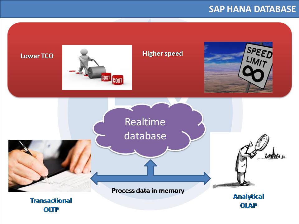 SAP Reference Materials: What is HANA database? In-Memory Computing