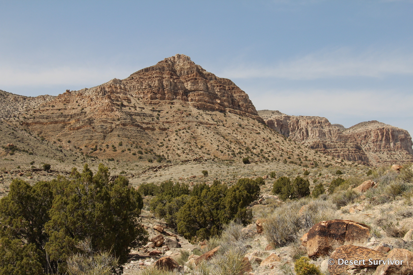 Desert Survivor: Desert Destination: Tule Hardpan and Fossil Mountain
