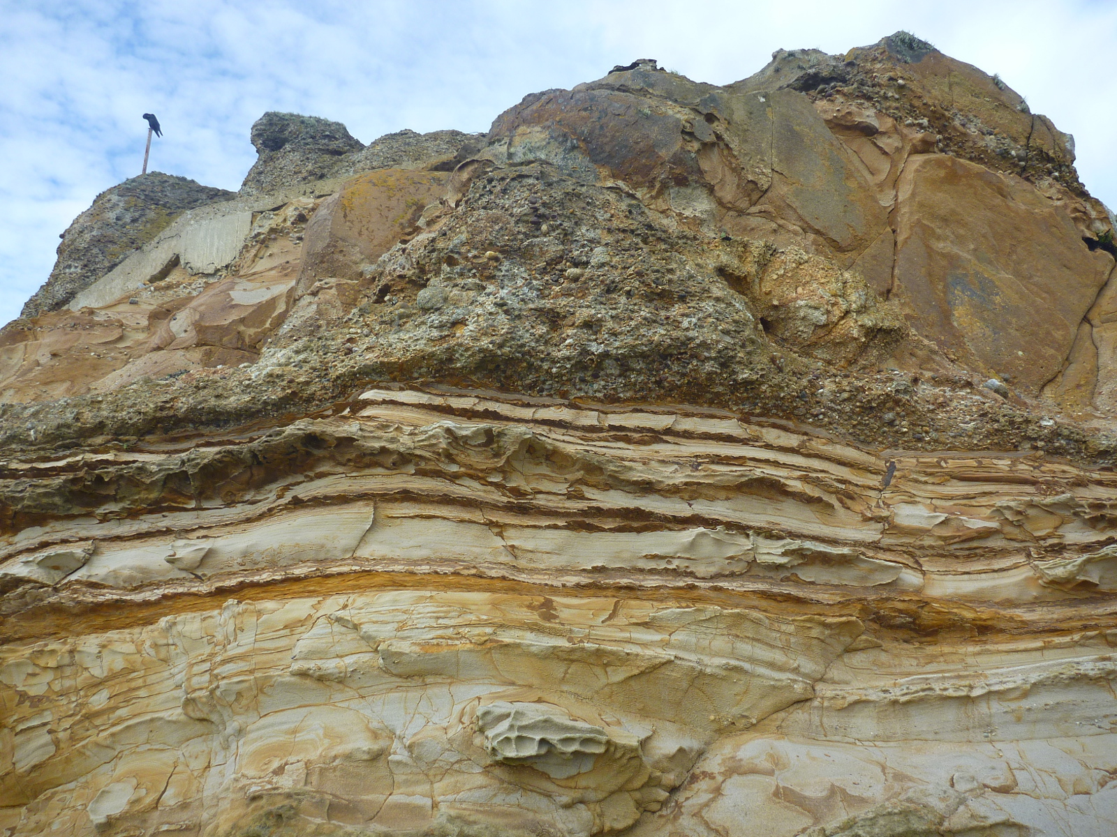 Trailing Ahead: Point Reyes Conglomerate