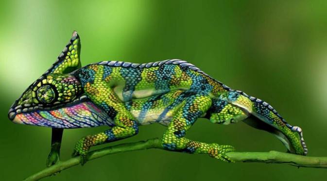 10 Ciri Ciri Bunglon Yang Jarang Orang Tahu - Dunia Hewan