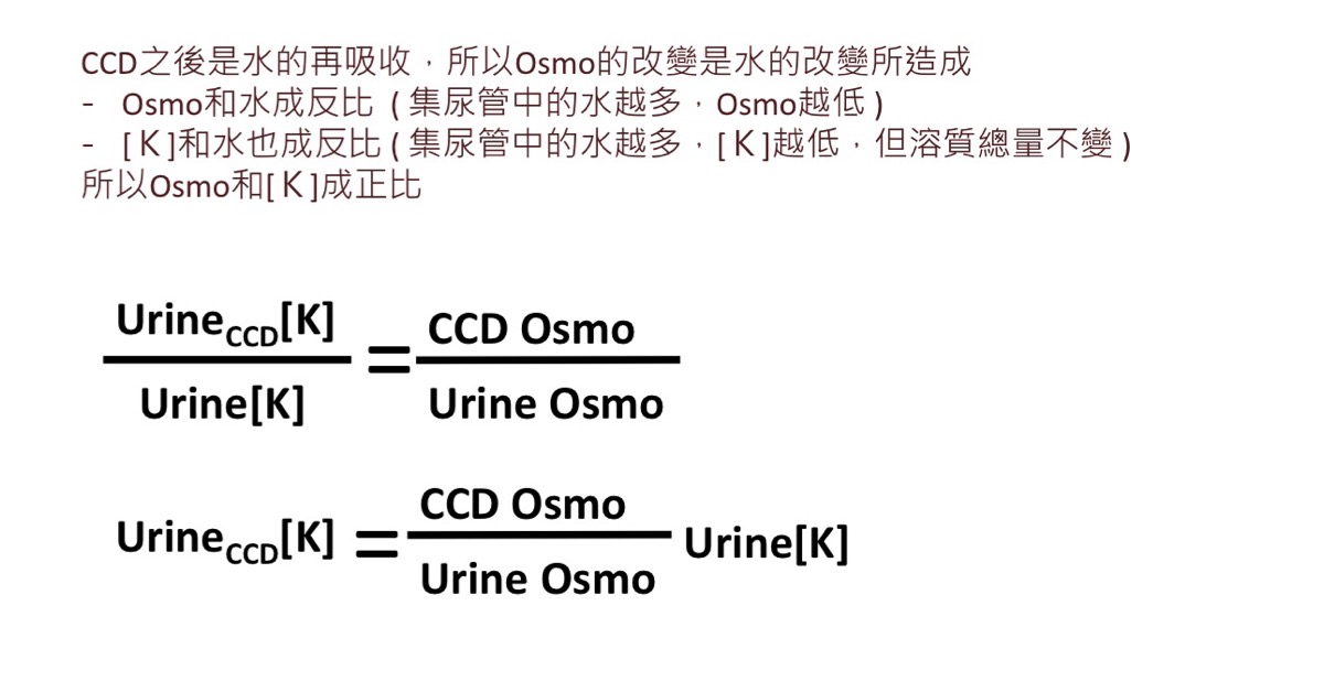 陳鋭溢: 你濫用了TTKG嗎？從鉀離子的排泄說起