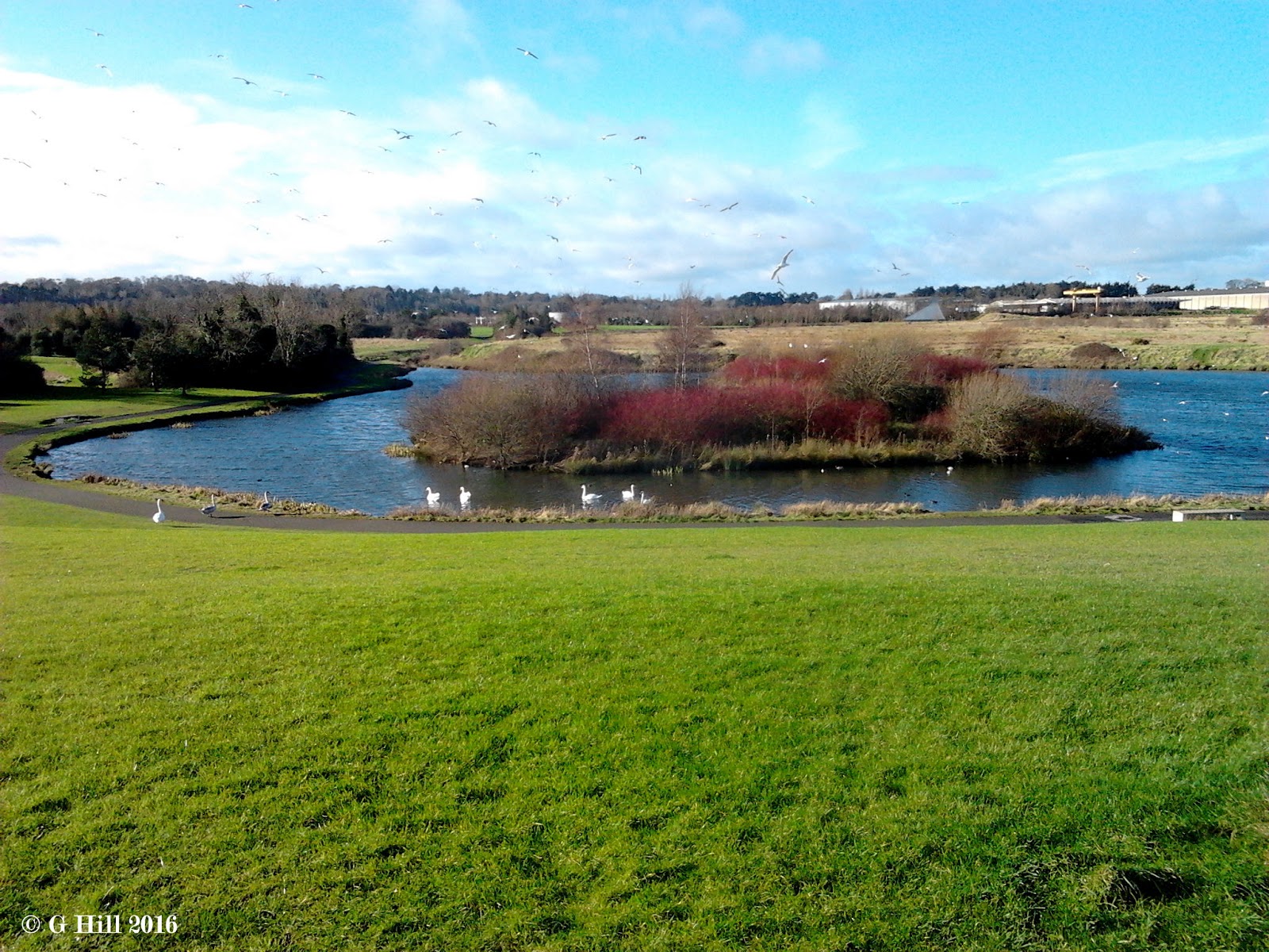 Ireland In Ruins: Ballymount Castle Co Dublin
