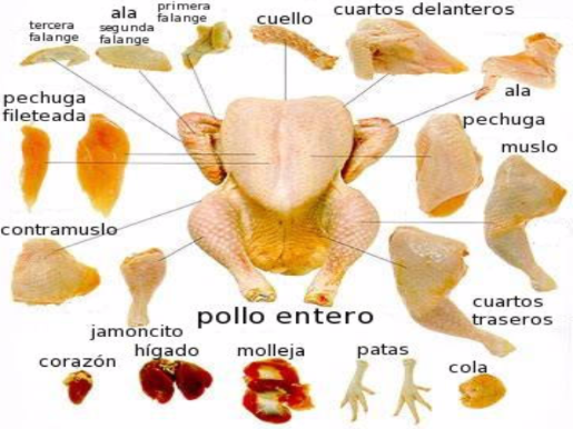 FAENADO Y SACRIFICIO DEL POLLO