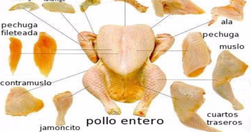 FAENADO Y SACRIFICIO DEL POLLO