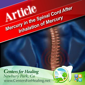 Centers for Healing: Mercury in the Spinal Cord After Inhalation of Mercury
