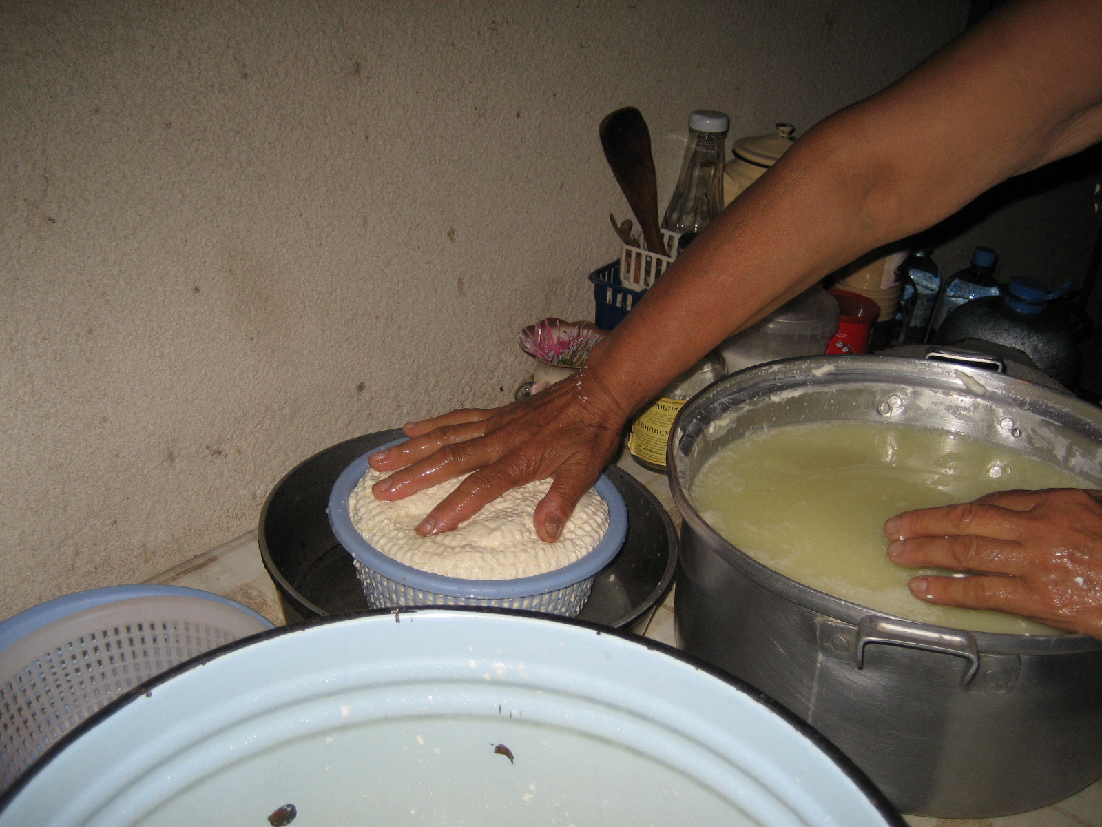 Living Rootless: Rustavi: Levan's Farm