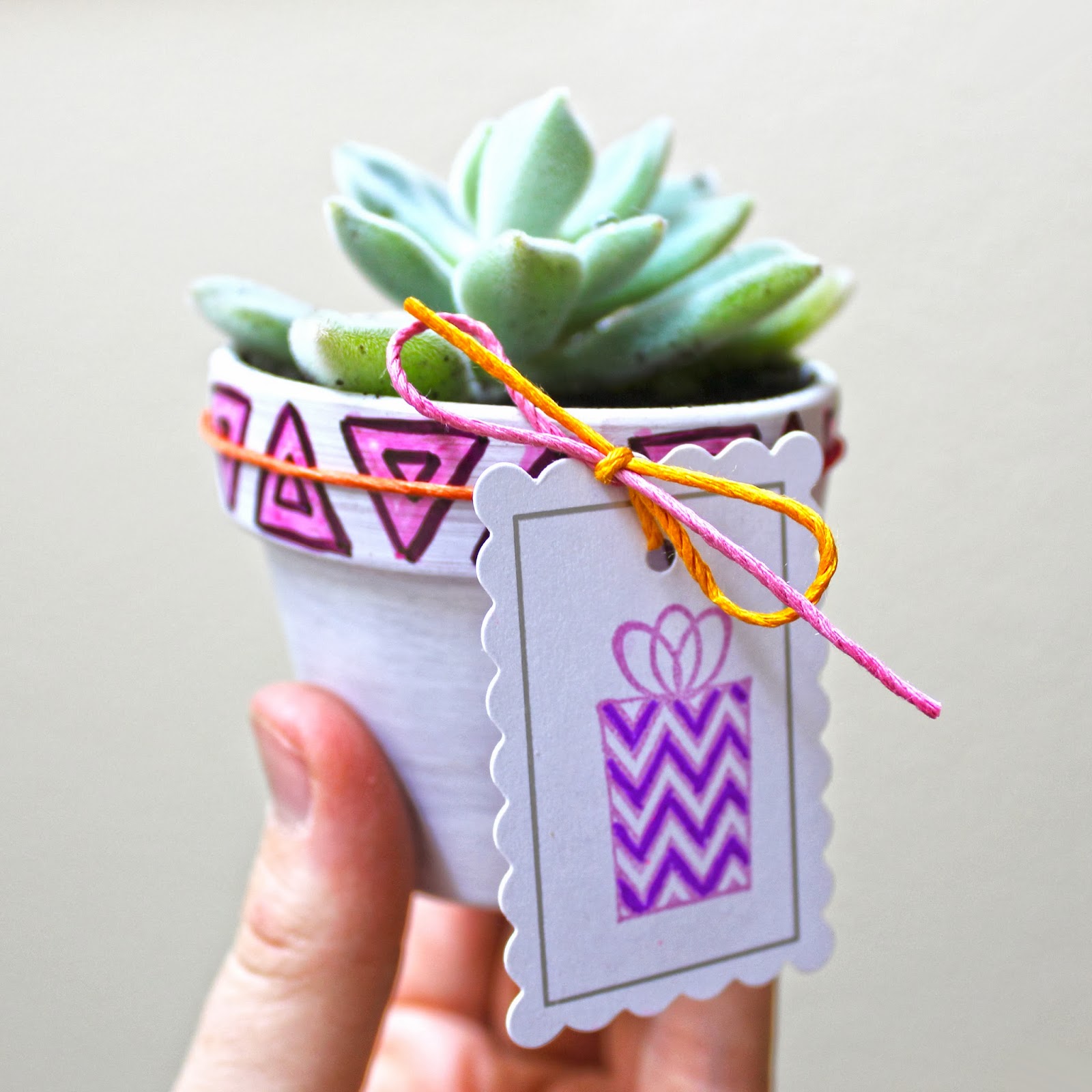 Courtney's Edible Garden: Small Gift or Favors Idea - Succulents