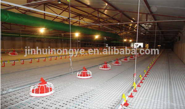 Instalaciones Y Equipos Para Producción De Gallinas Ponedoras ...