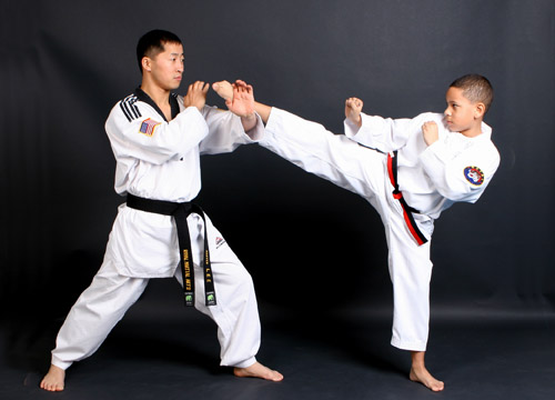 Most used martial art styles ~ The Martial Art