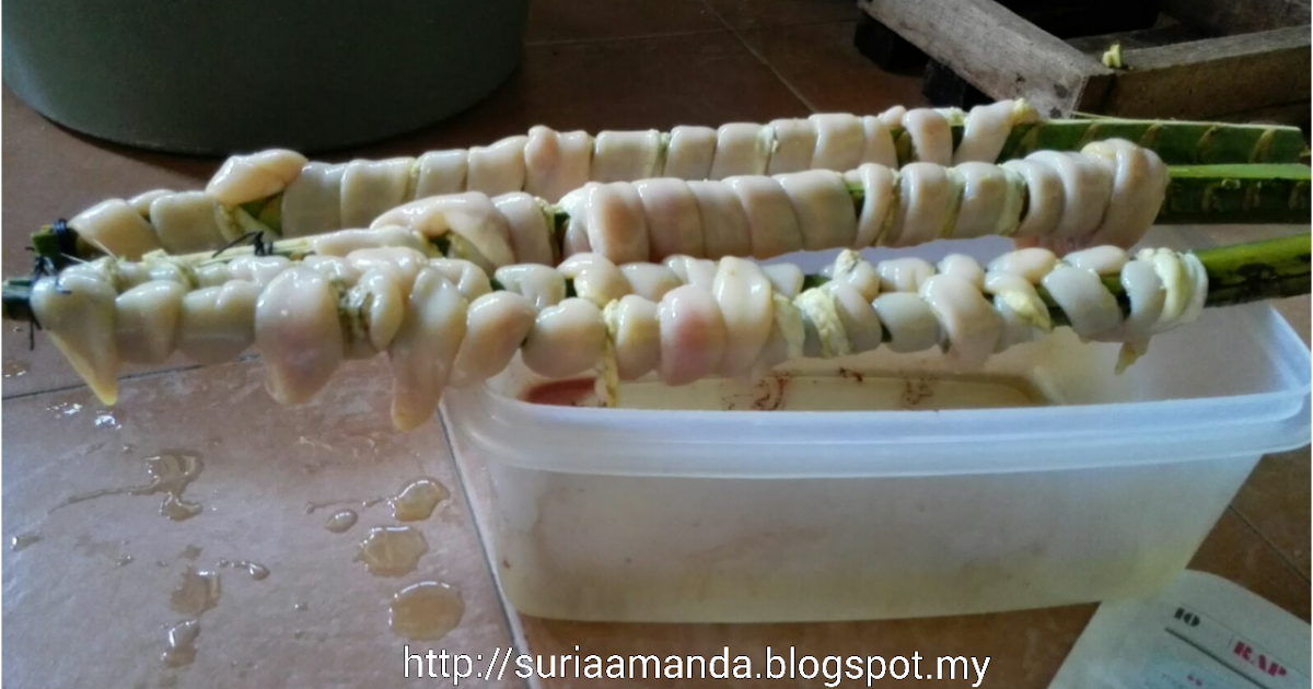Usus Lembu Salai / Bakar Popular Utara ~ SURIA AMANDA