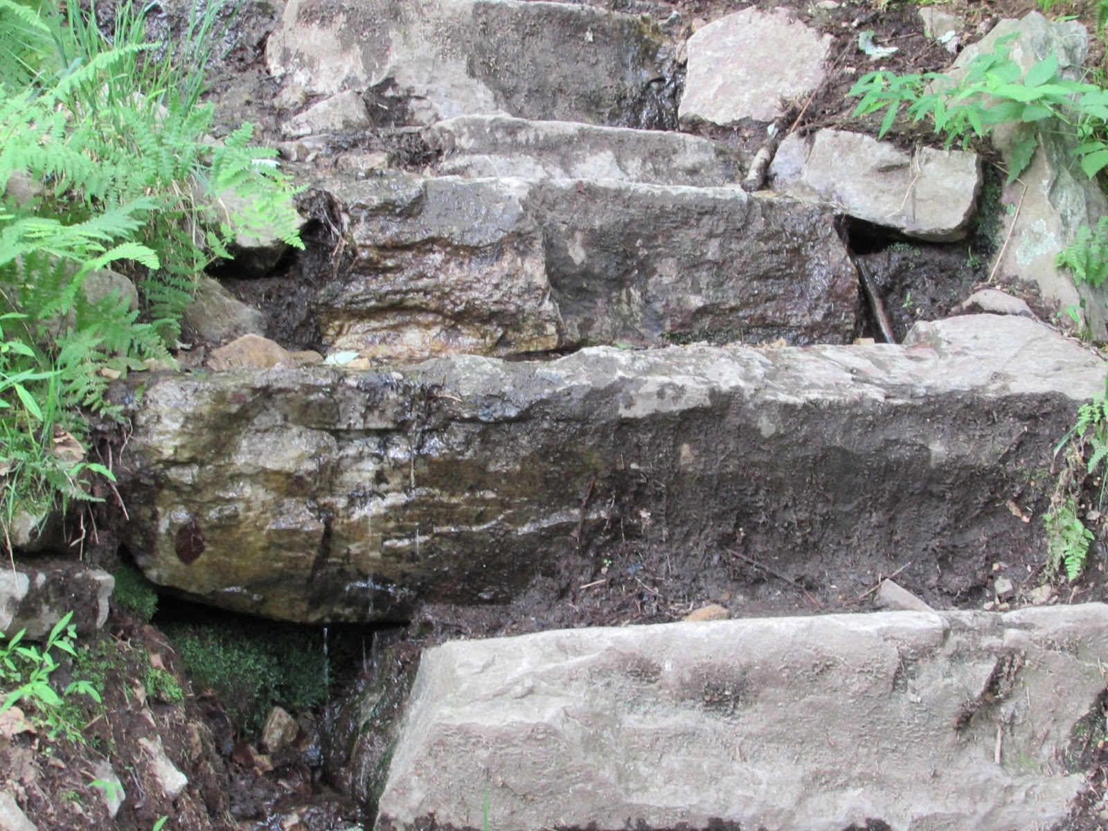 Standing Stone Trail and the Thousand Steps: Great Hike with Stunning ...