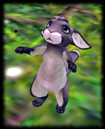 Fos Dagger's MyRoos: Meeroo Personality Profile: Aggressive