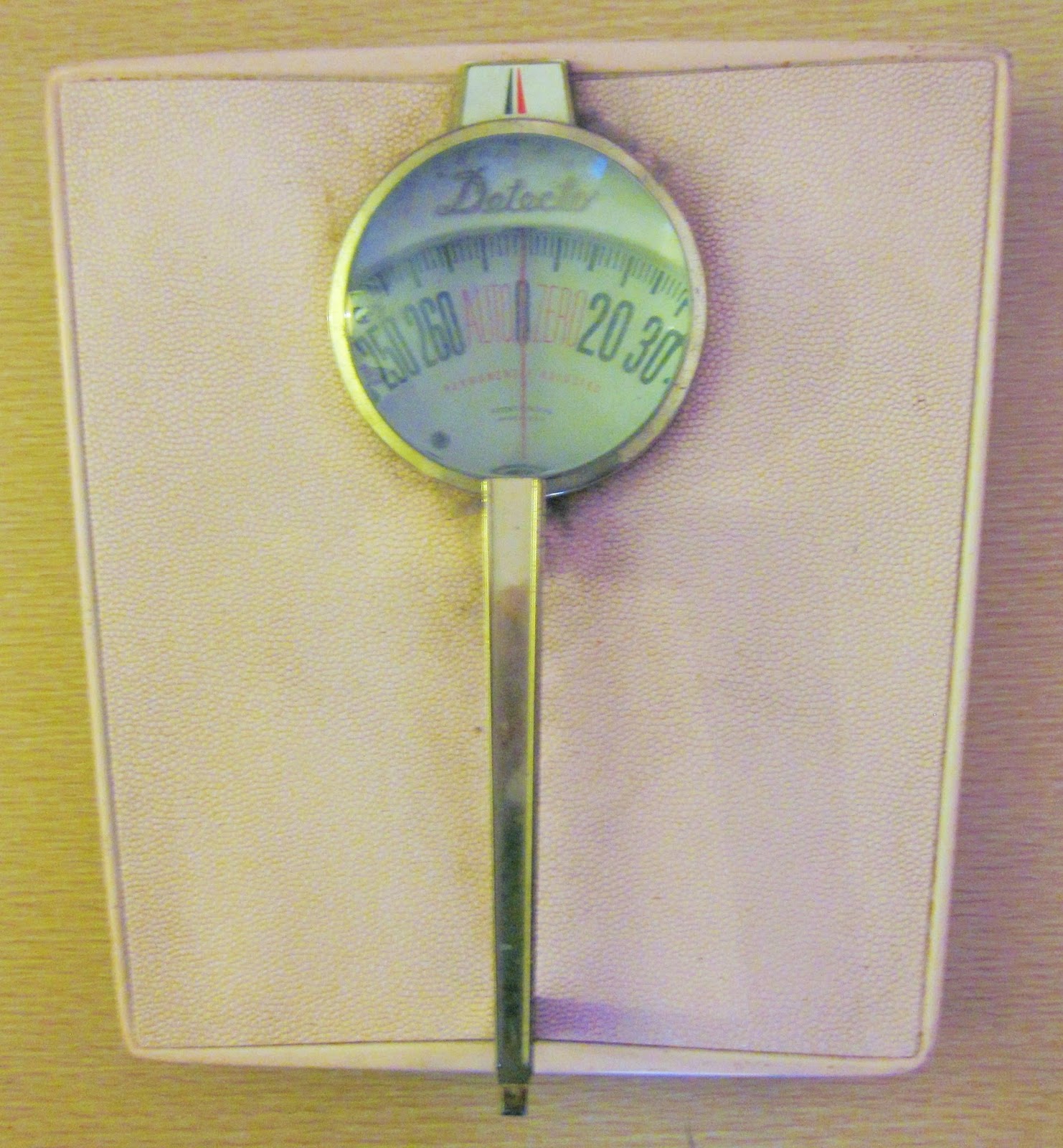 Our Adventures Amongst The Ducks: East Or West?