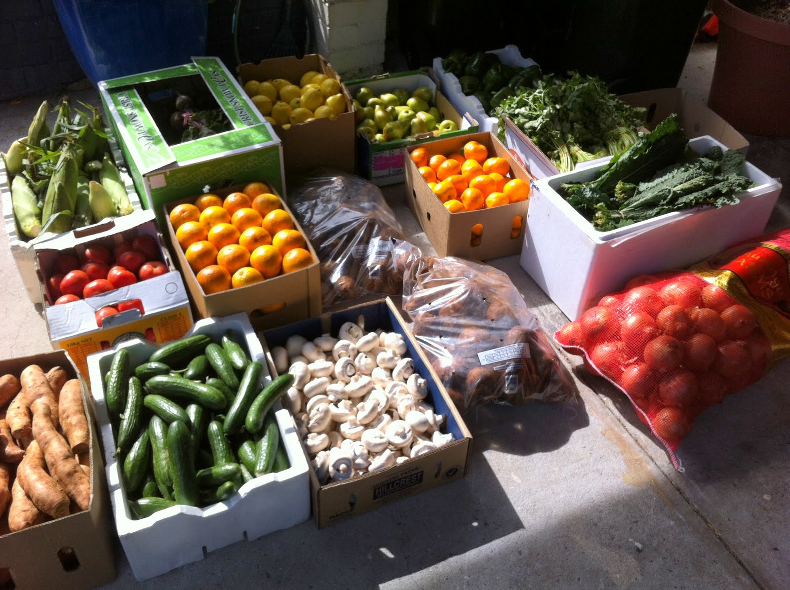 Lilyfield Life: Cheap Fresh Seasonal Fruit and Vegetables. Join a Vegie ...