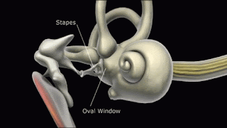 El Rincón del Pequeprofe