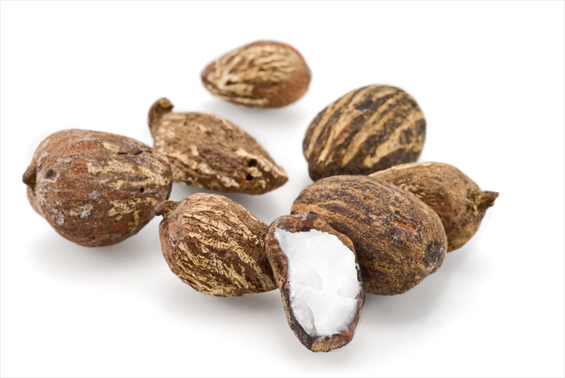 ECOMANIA BLOG: Beneficios de la Manteca de Karité en Cosmética