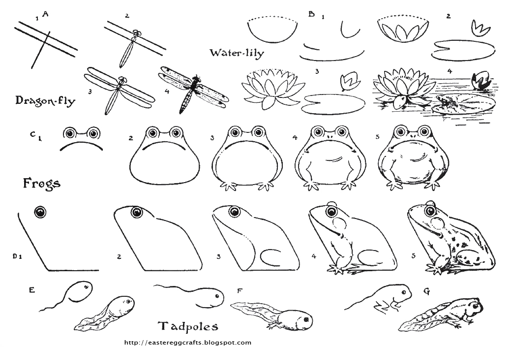 Tadpole With Legs Coloring Coloring Pages