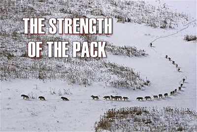HOOP THOUGHTS: THE STRENGTH OF THE PACK