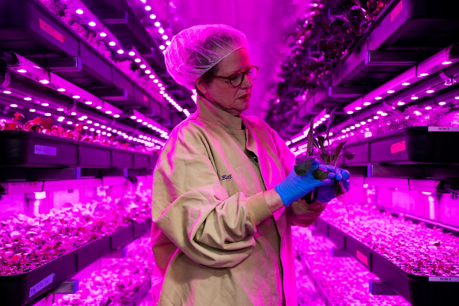 The Rural Blog: LED lighting advances drive indoor agriculture revolution