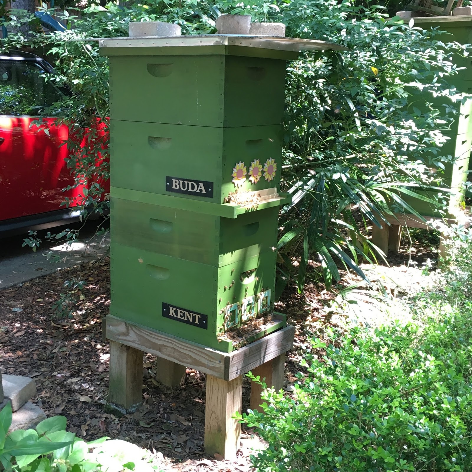 bee surprised: off-label use of cloake board