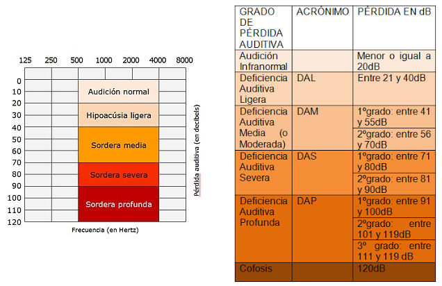 El Sonido del Silencio: 05. Etiología y clasificación de la sordera