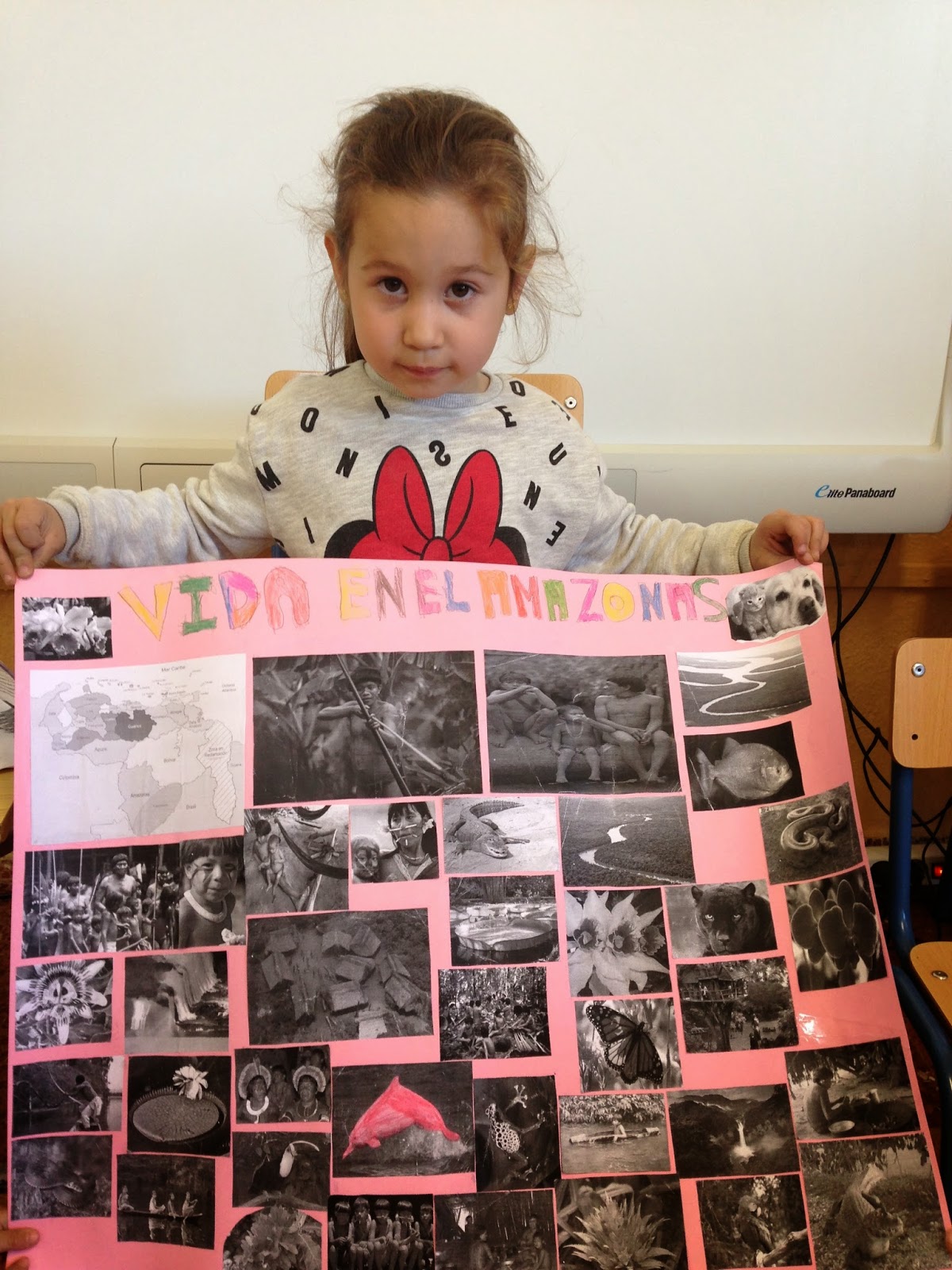 MI AULA DIVERTIDA: PROYECTO AMAZONAS