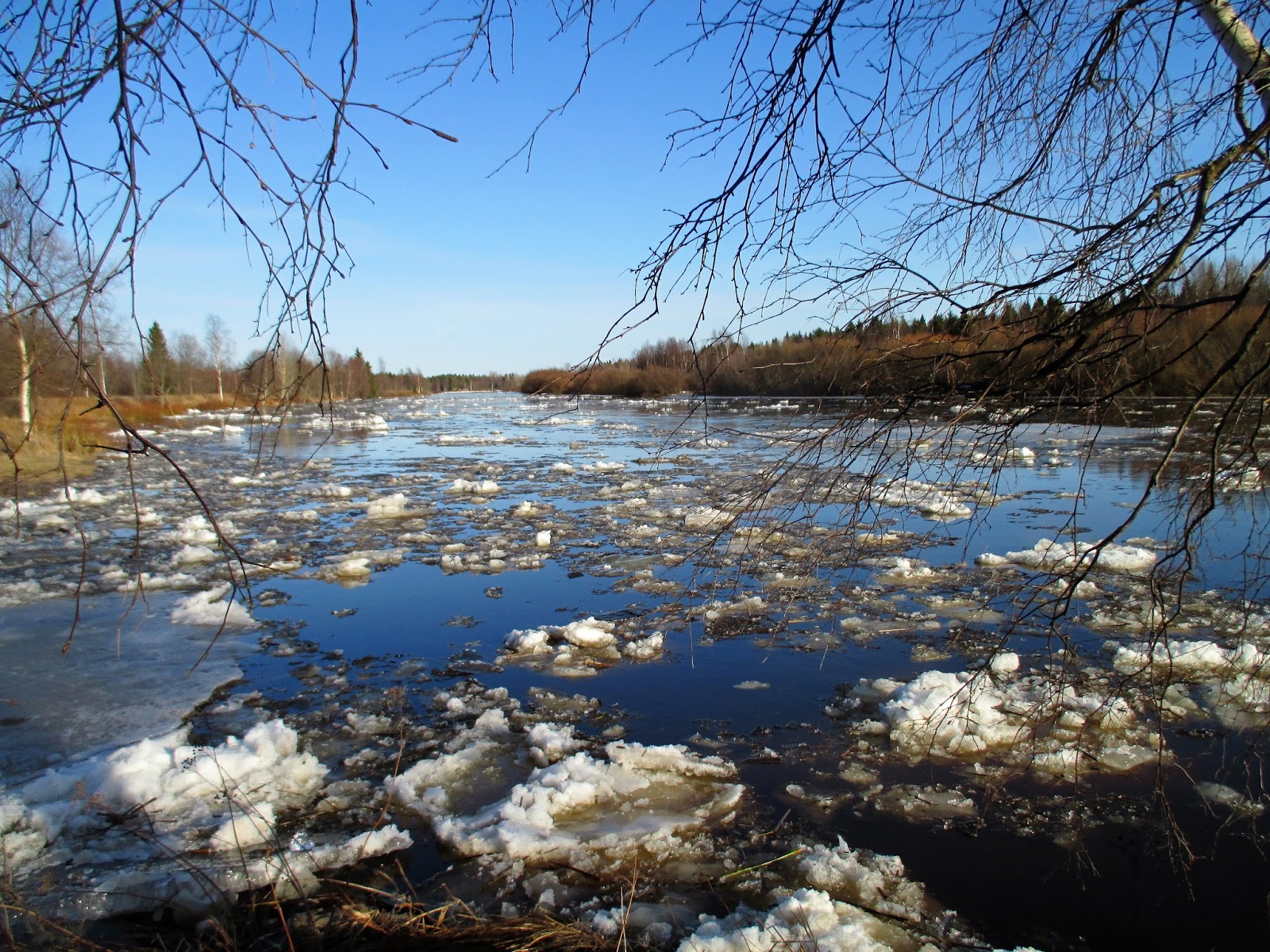 Plaza de mustis: HUU, HUU HUHTIKUU!