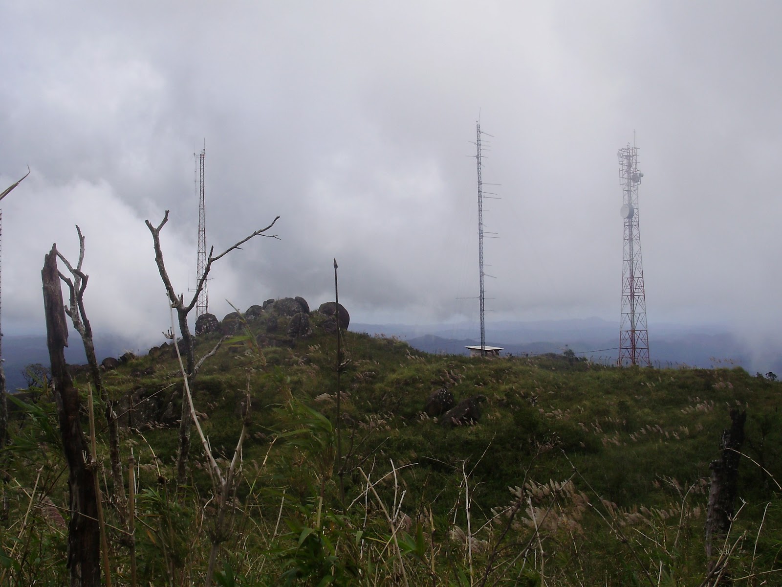 Prof. Fernando Bonato: Breve relato ambiental do Morro do Capivari