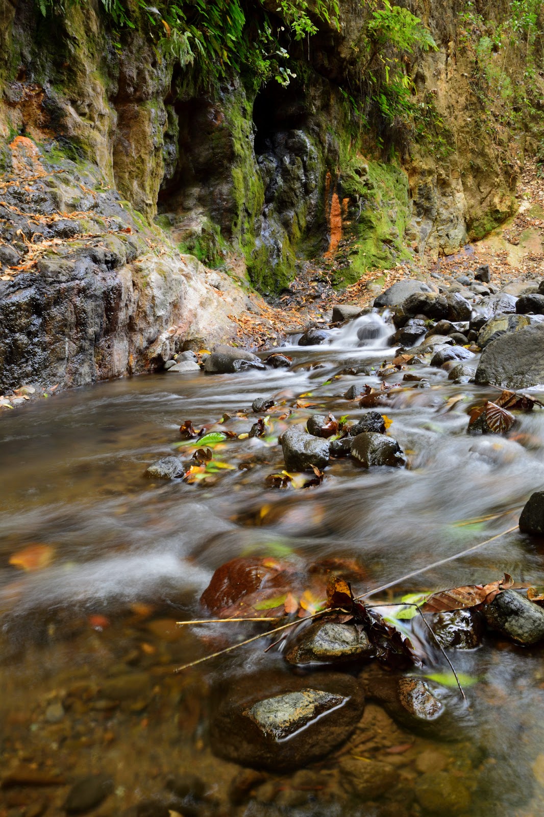 Orange Spring in Rock Wall, Rio Viejo