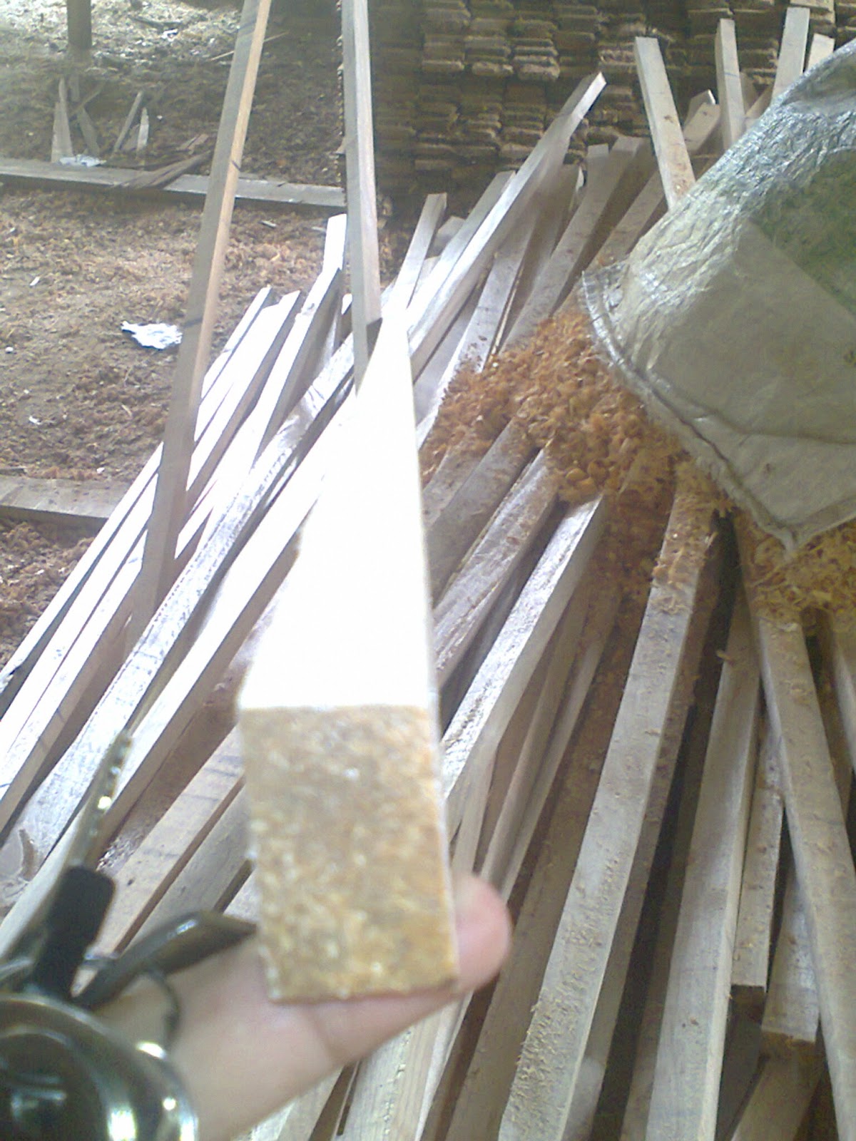 Pasar kayu I Jual beli kayu I Kayu murah I Properti dan meubeller I ...