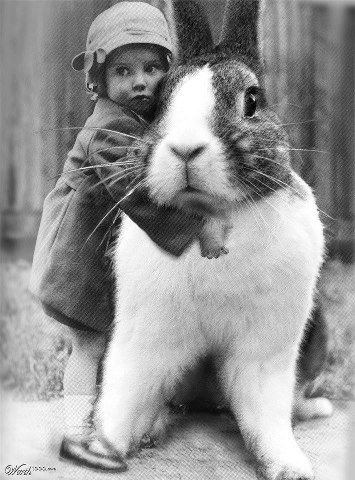 Tales from The Raspberry Rabbits: It's time! It's time! It's Mid-Month ...