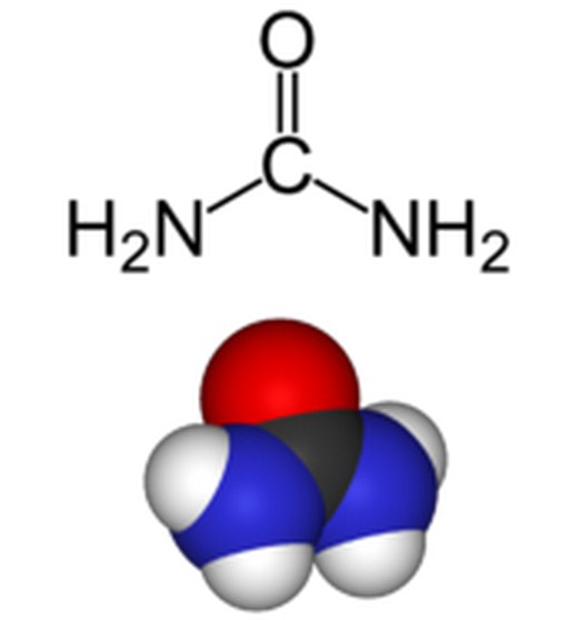 Rumus Kimia Urea - Rumus Kimia