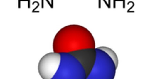 Rumus Kimia Urea - Rumus Kimia