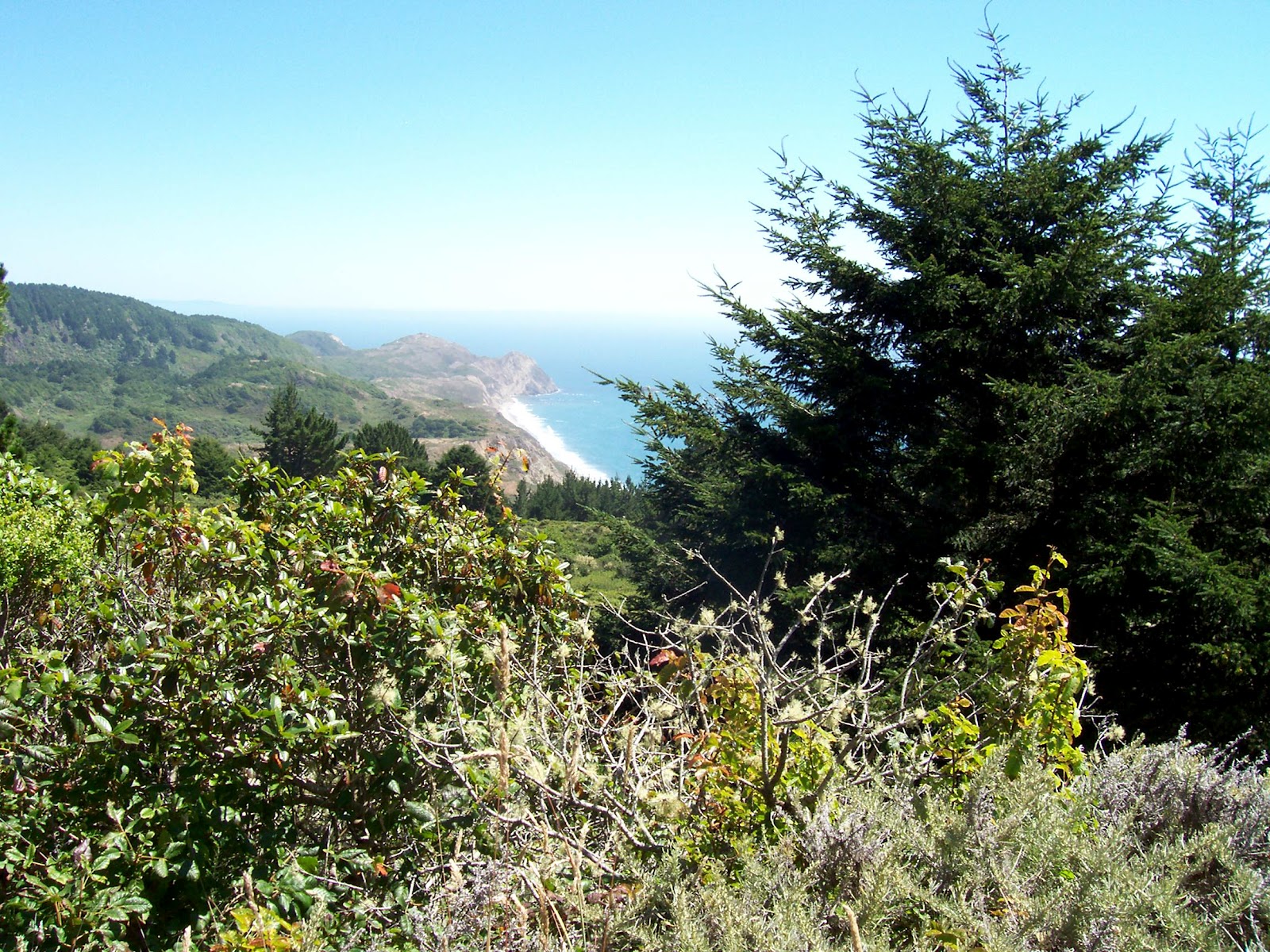 A family journey: Point Reyes Backpacking..or lost in the Magic