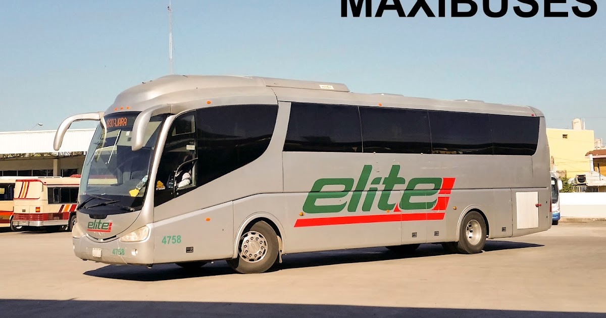 MAXIBUSES: ELITE