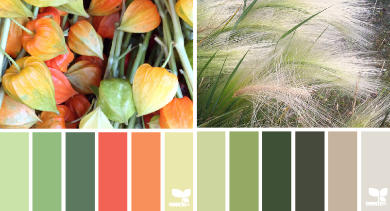 Solution for color palettes: Design Seeds - The Dutch Lady Designs