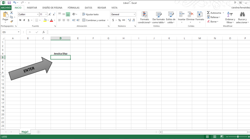 EXCEL BASICO: PASOS PARA INTRODUCIR DATOS EN EXCEL