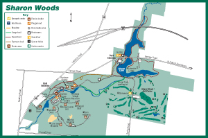 The Sketchpad: Sharon Woods (Day 2)