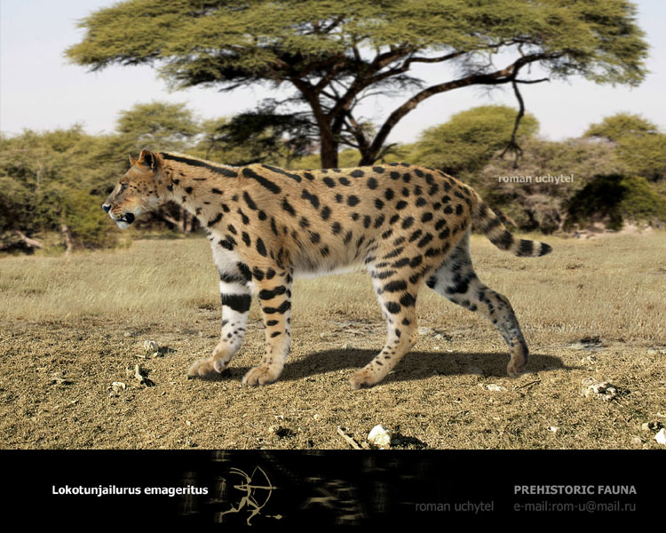 Escenarios prehistóricos: Lokotunjailurus