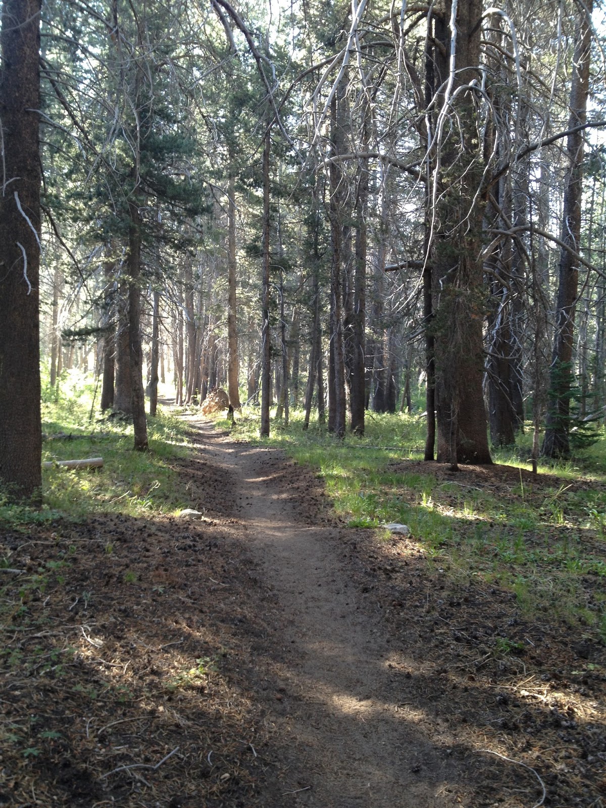 Hike4Ward: Day 9. Aug 7: Bear Creek to Sallie Keyes Lake via Seldon ...