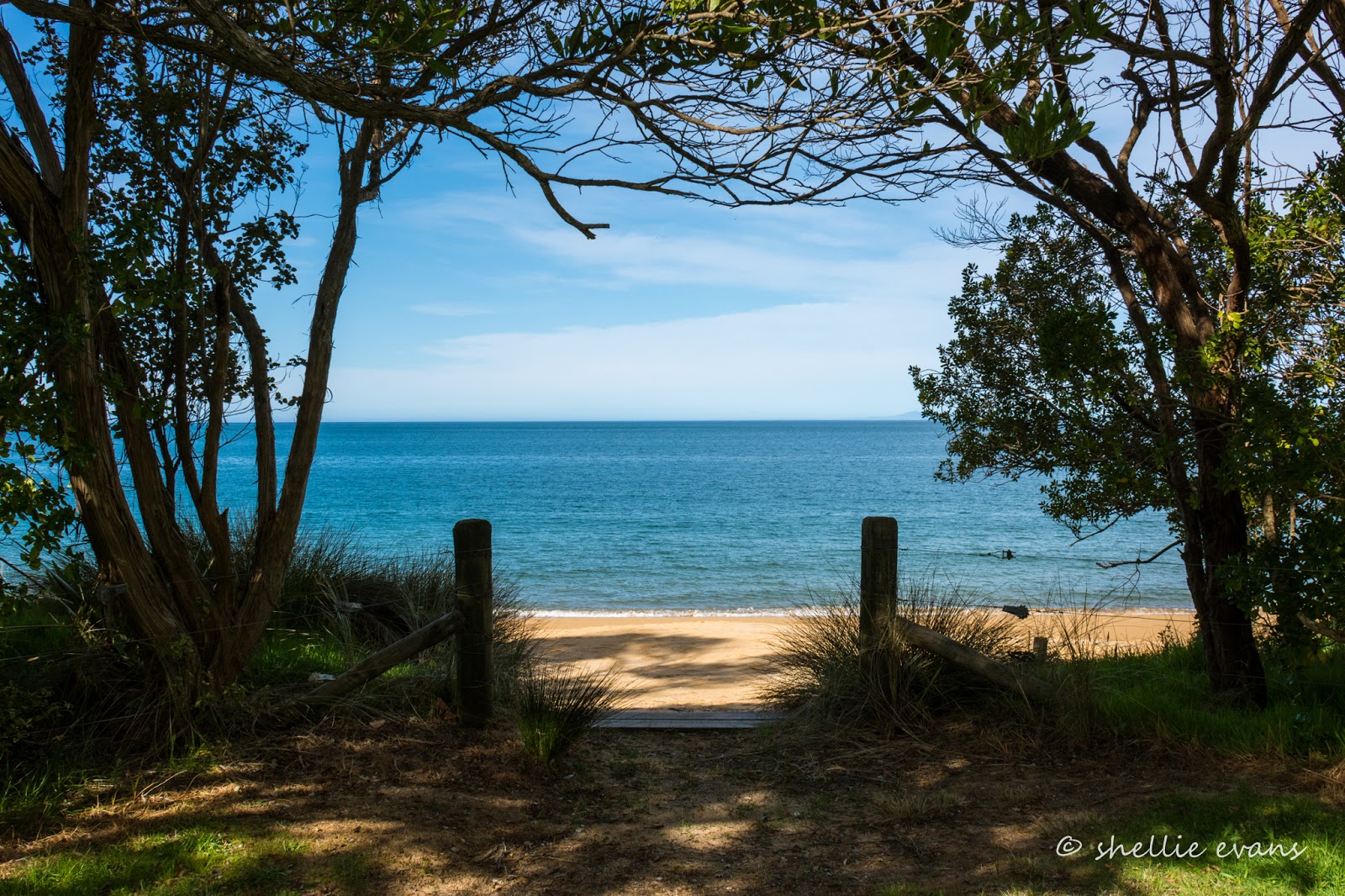 Two Go Tiki Touring: Totaranui- Bird Paradise