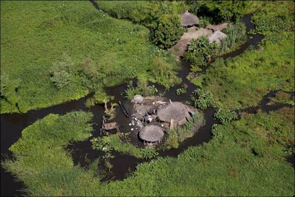 The Largest Swamp in the World