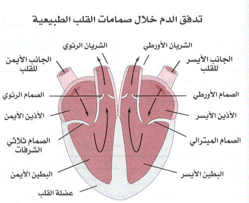أمراض الصمامات القلبية