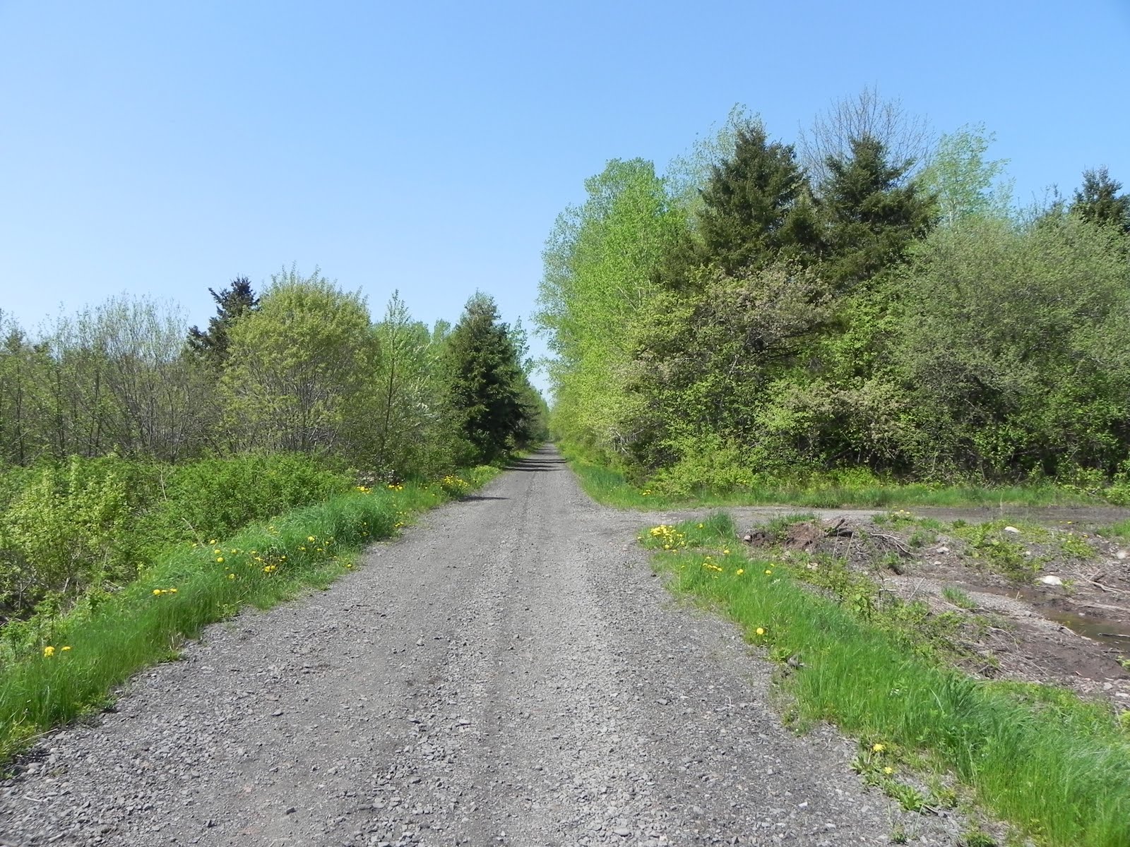 Dave and Lindsay in Canada: From Summerside, PEI to Newfoundland